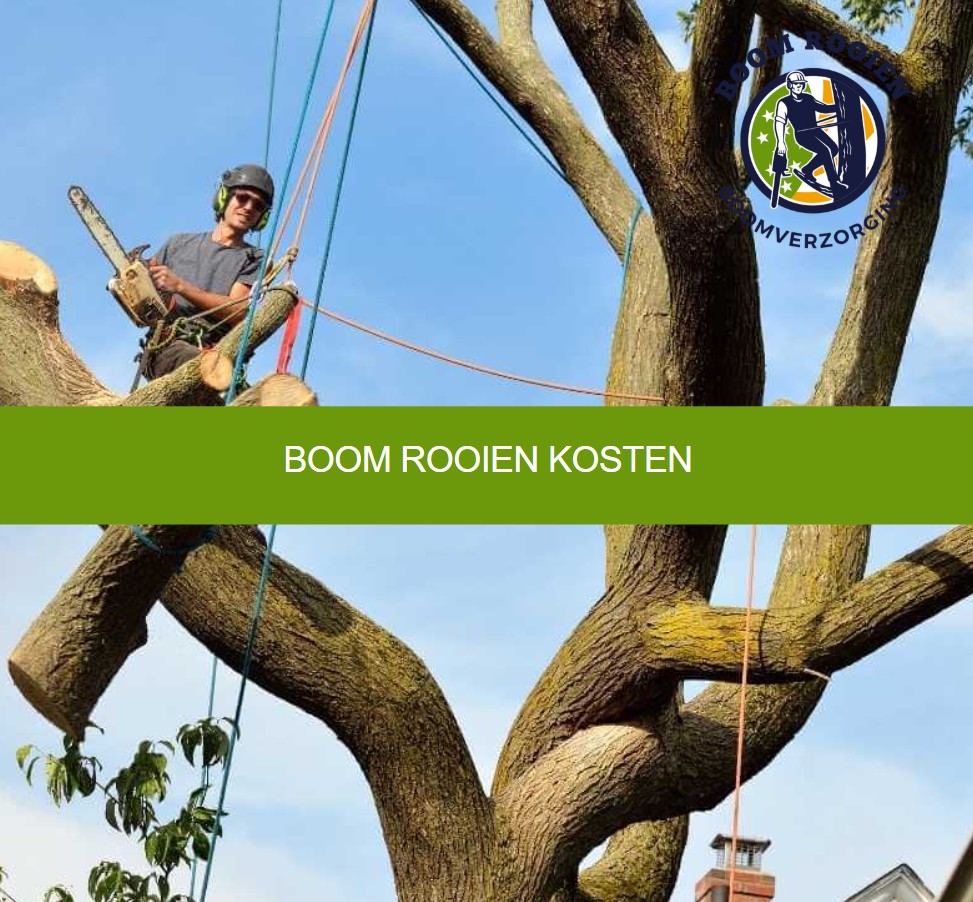 Boom rooien kosten: Prijsindicaties & factoren in 2025